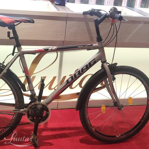 Jalgratas Drag ZX2 - Luutar